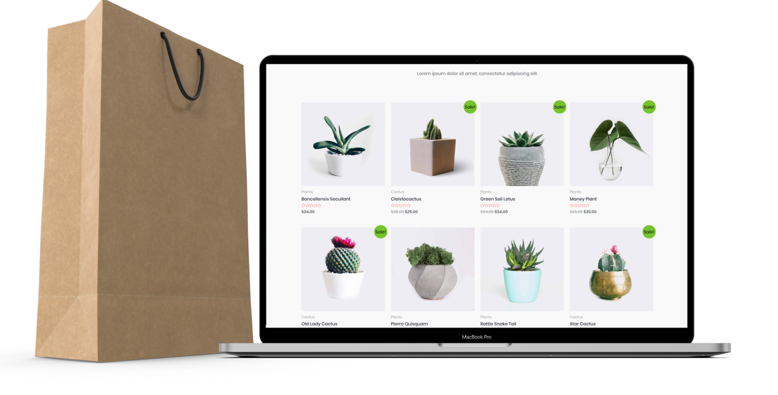 Webdesign bureau De Onliners voor goedkope websites en webwinkels